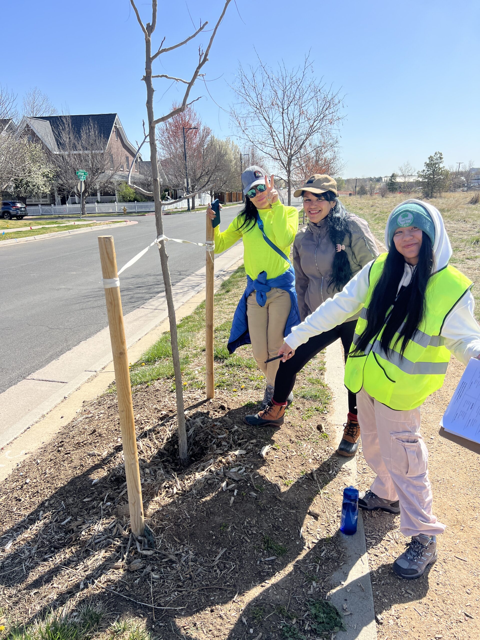 Tree Spacing Guidelines - The Park People