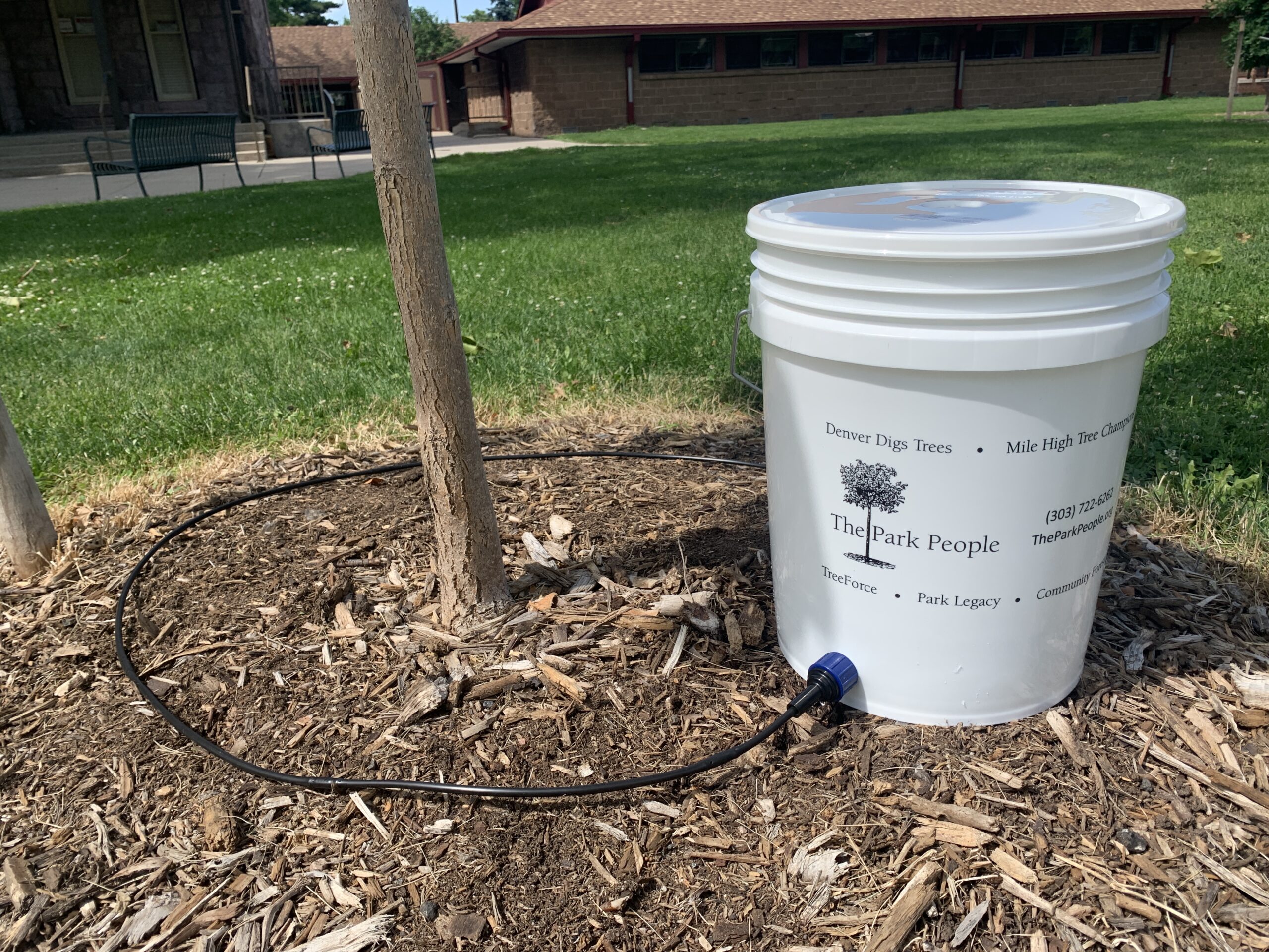 DIY Drip Irrigation Buckets - The Park People